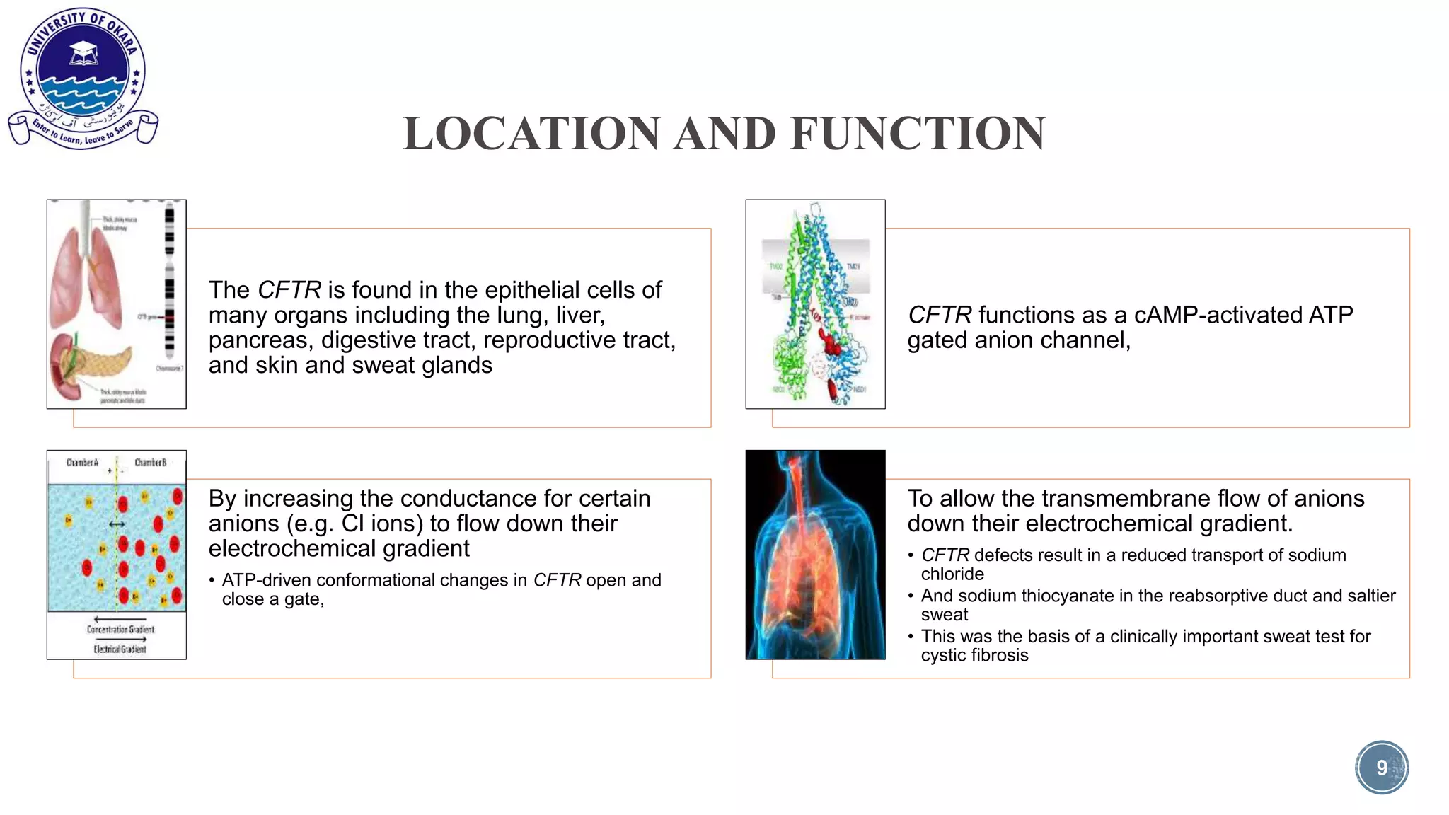 Cystic Fibrosis (CFTR) gene.pptx