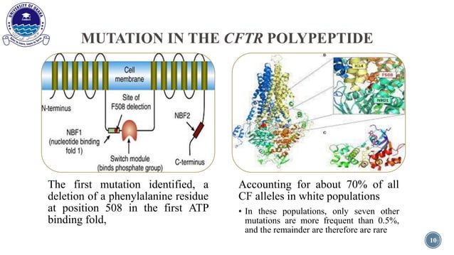 Cystic Fibrosis (CFTR) gene.pptx