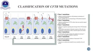 Cystic Fibrosis (CFTR) gene.pptx