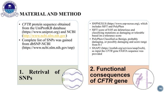 Cystic Fibrosis (CFTR) gene.pptx