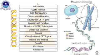 Cystic Fibrosis (CFTR) gene.pptx