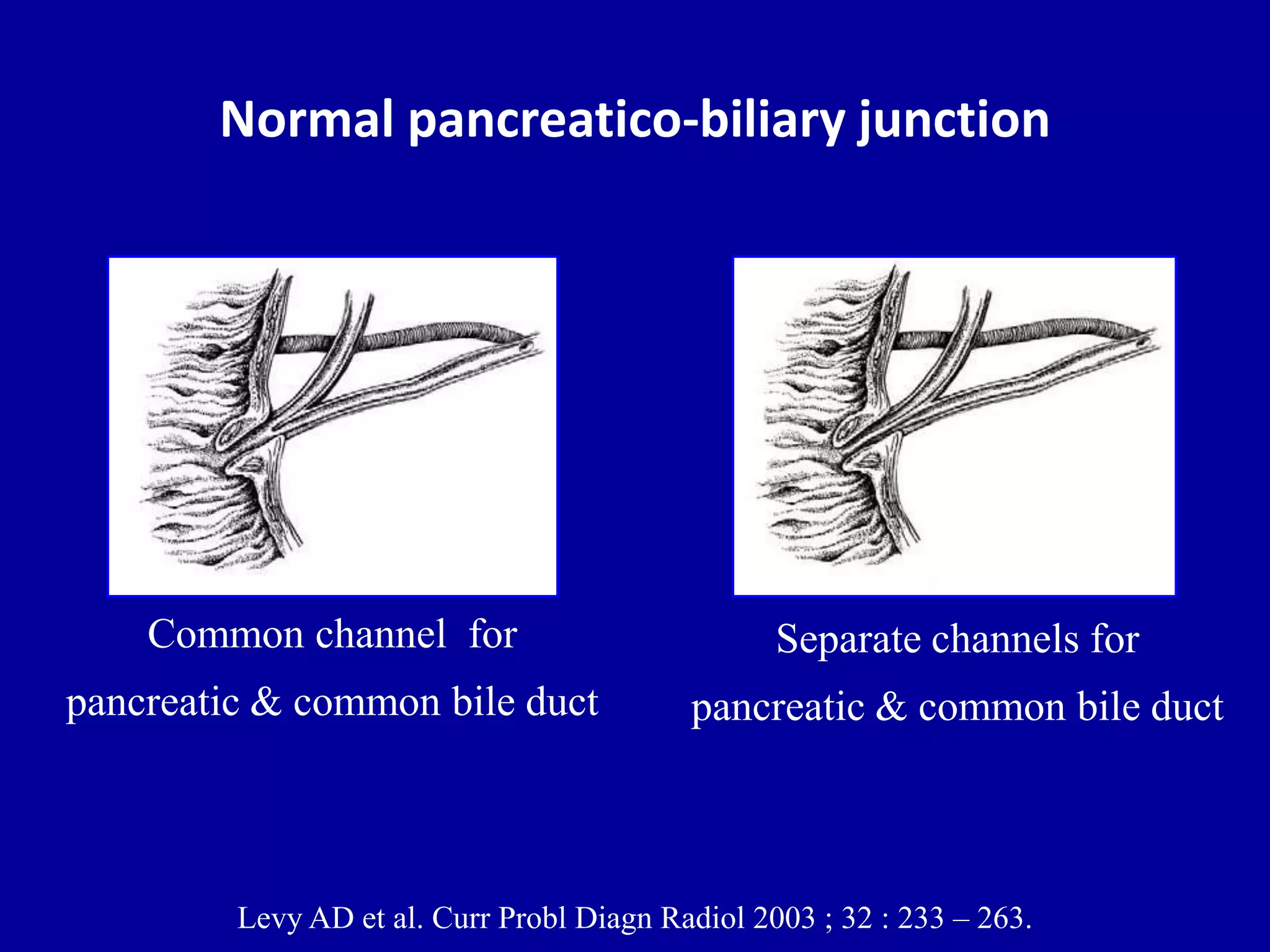 Cystic liver lesions - An ultrasound perspective | PPTX