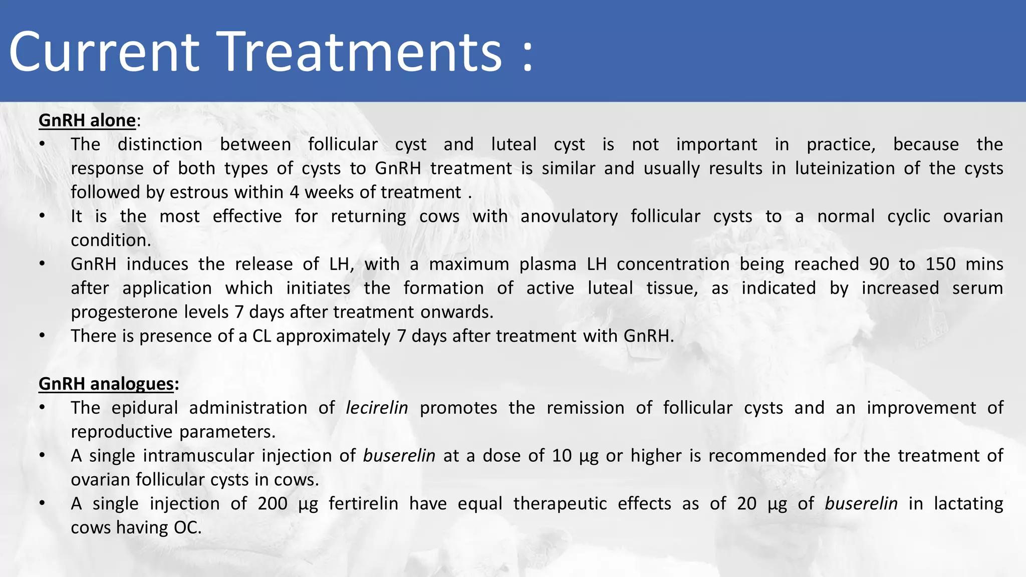 Cystic ovarian degeneration Dr. Najmu Saaqib Reegoo DVM | PDF