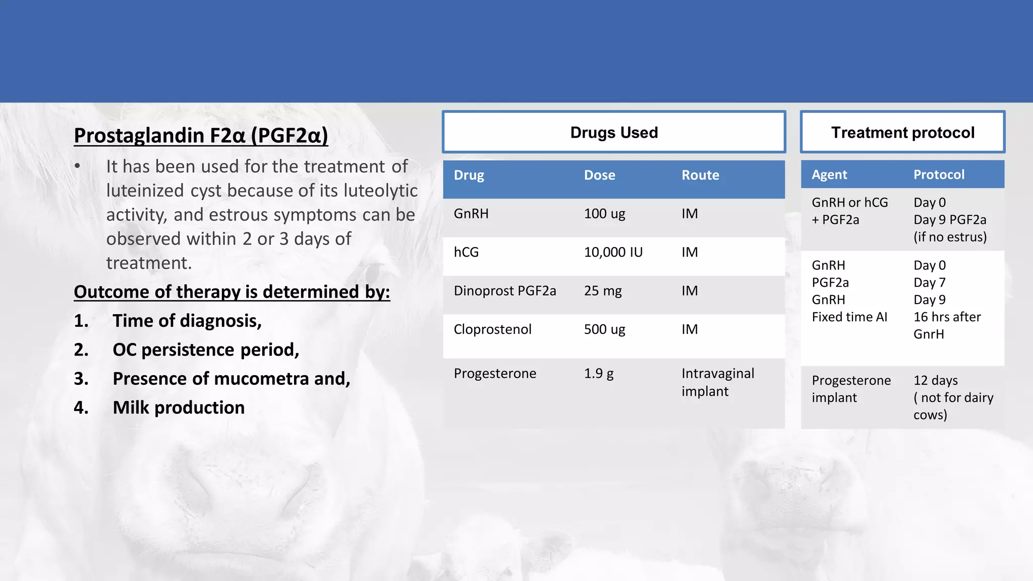 Cystic ovarian degeneration Dr. Najmu Saaqib Reegoo DVM | PDF