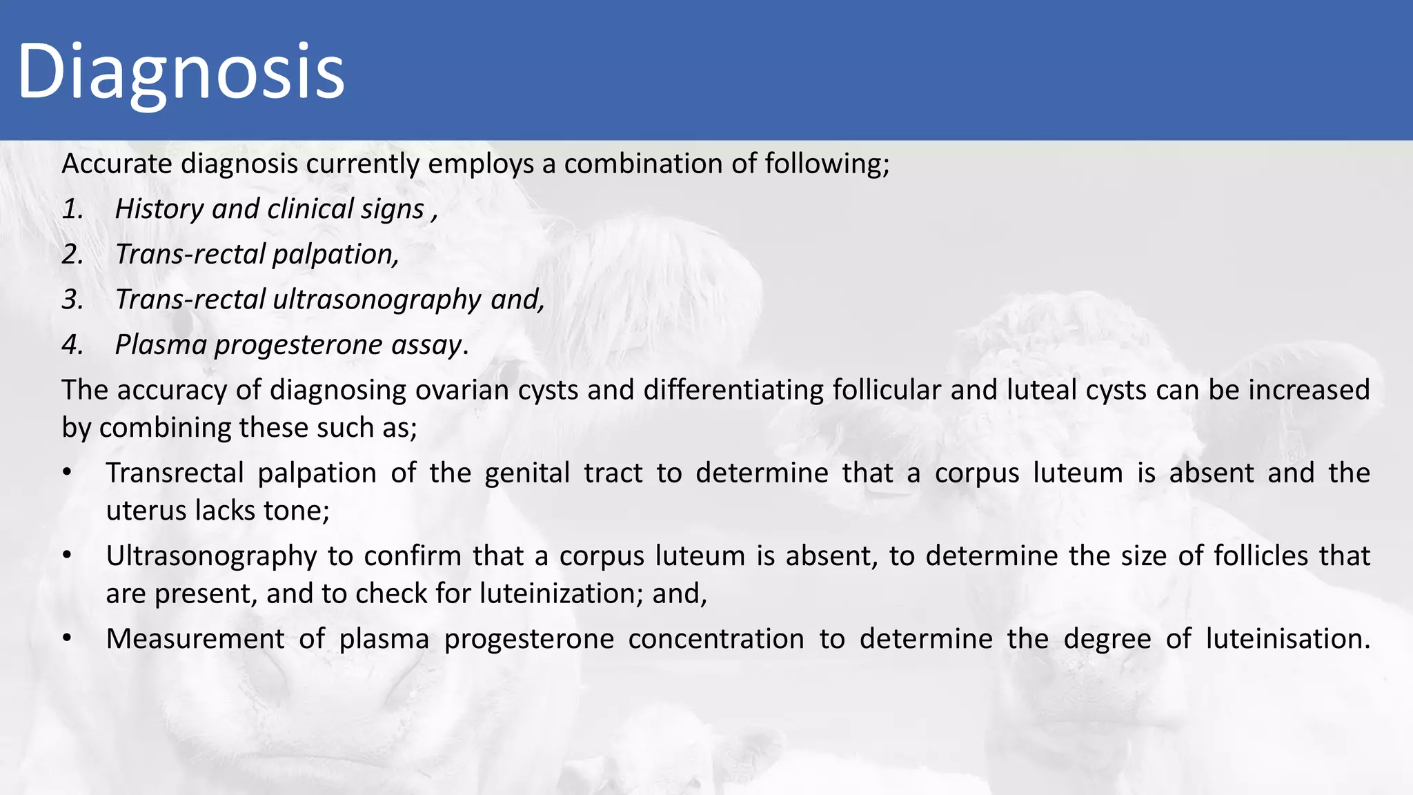 Cystic ovarian degeneration Dr. Najmu Saaqib Reegoo DVM | PDF