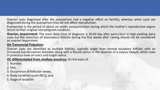 Cystic ovarian degeneration Dr. Najmu Saaqib Reegoo DVM | PDF