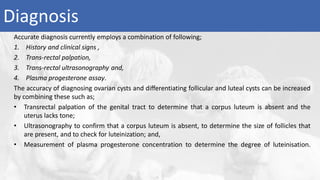 Cystic ovarian degeneration Dr. Najmu Saaqib Reegoo DVM | PDF