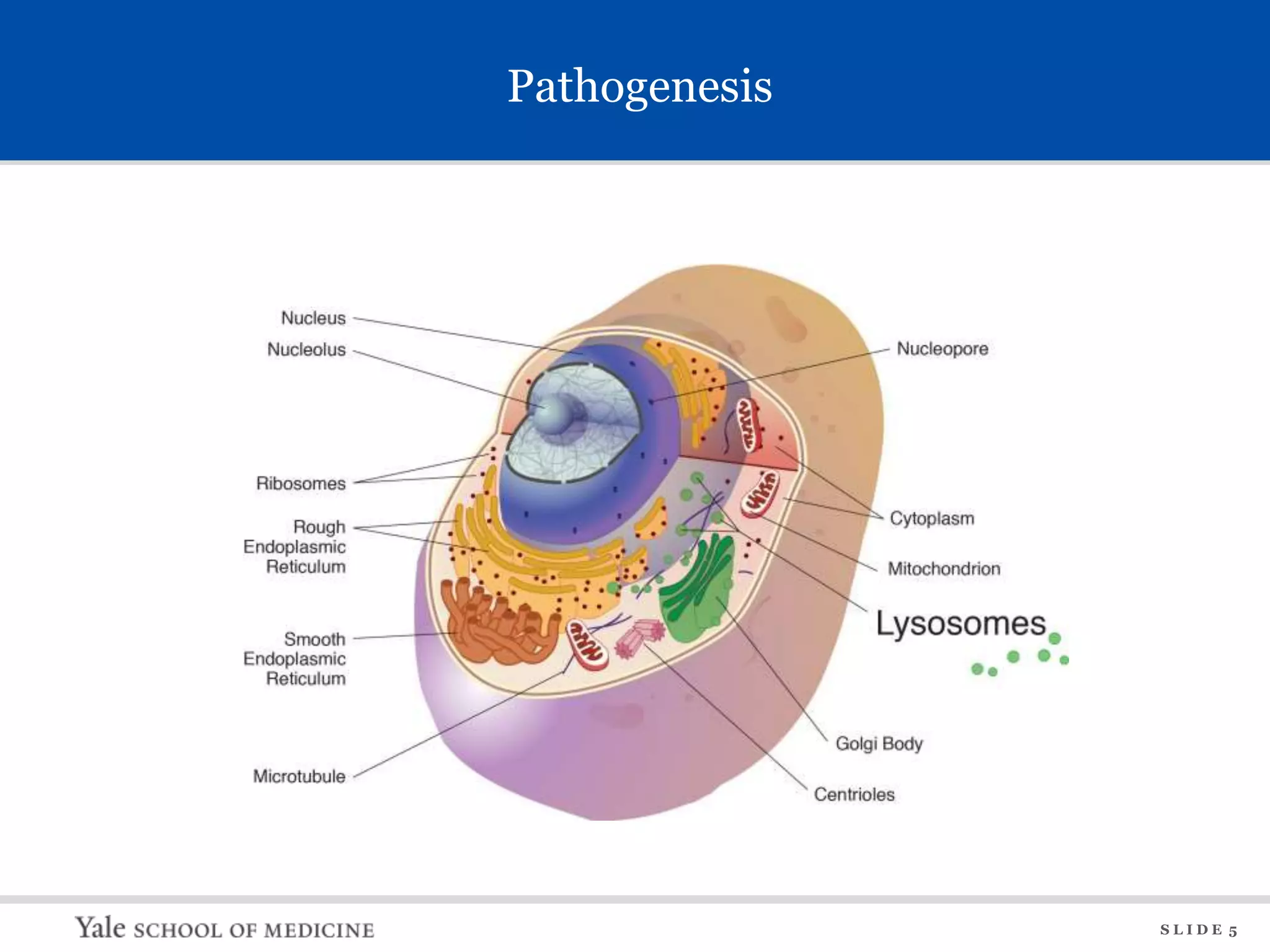 Cystinosis.pptx