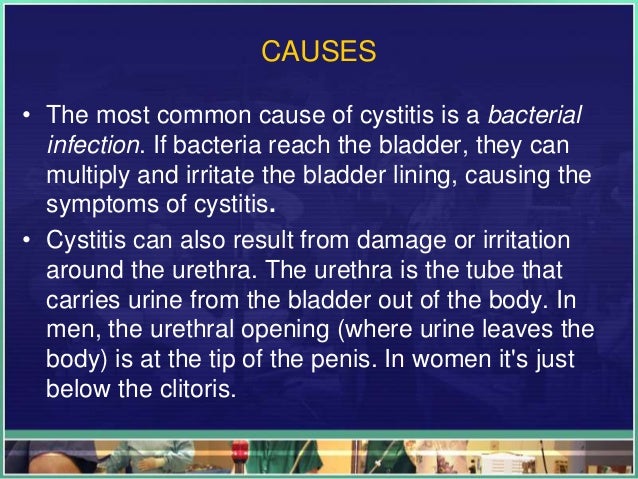 Symptoms Of Cystitis Bladder