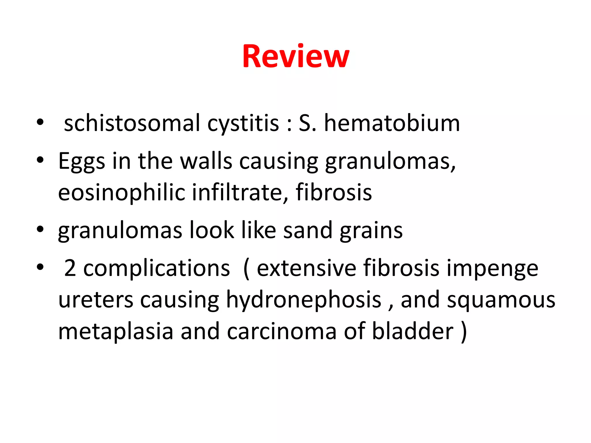 Cystitis made easy | PPTX