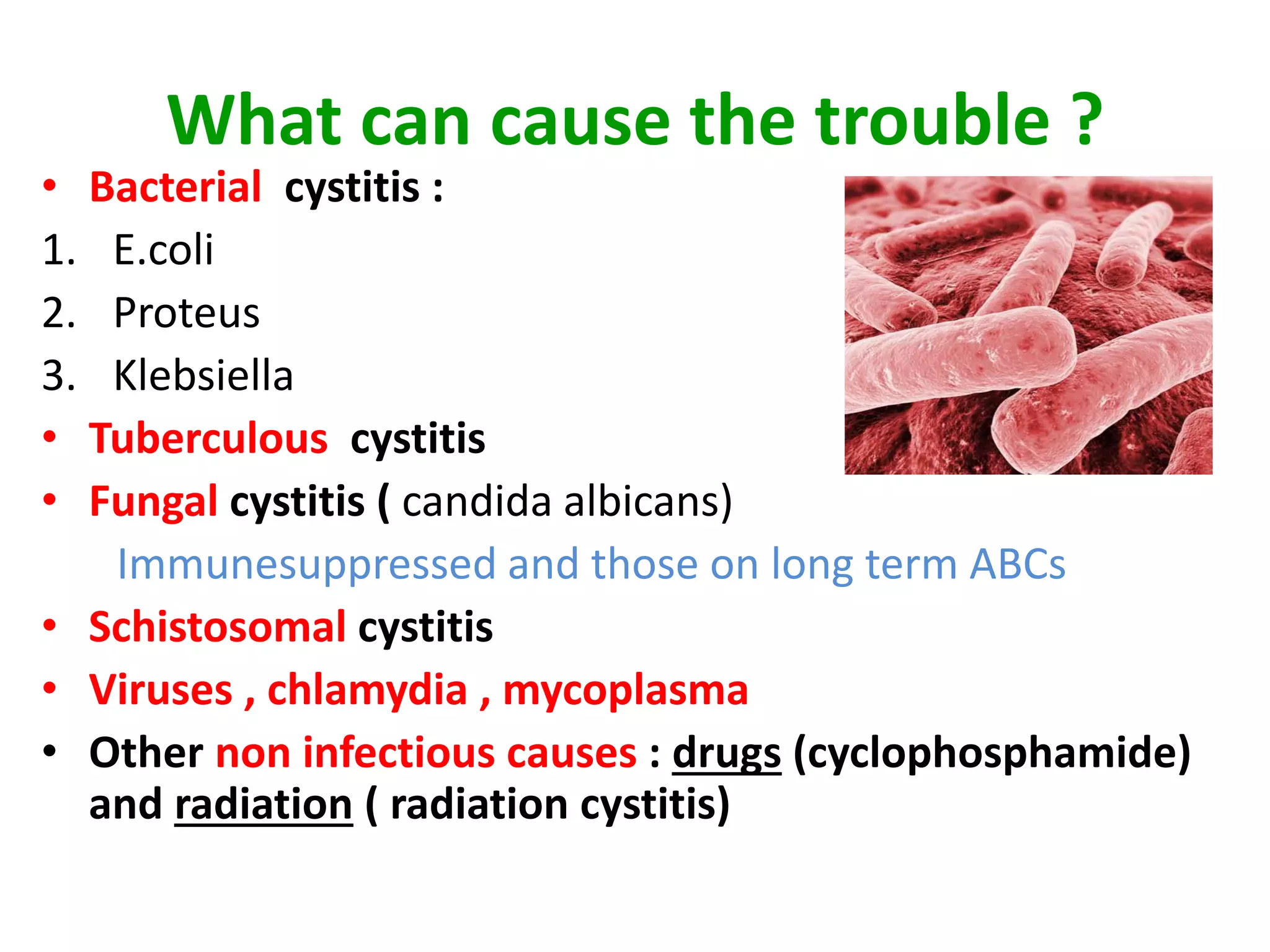 Cystitis made easy | PPTX