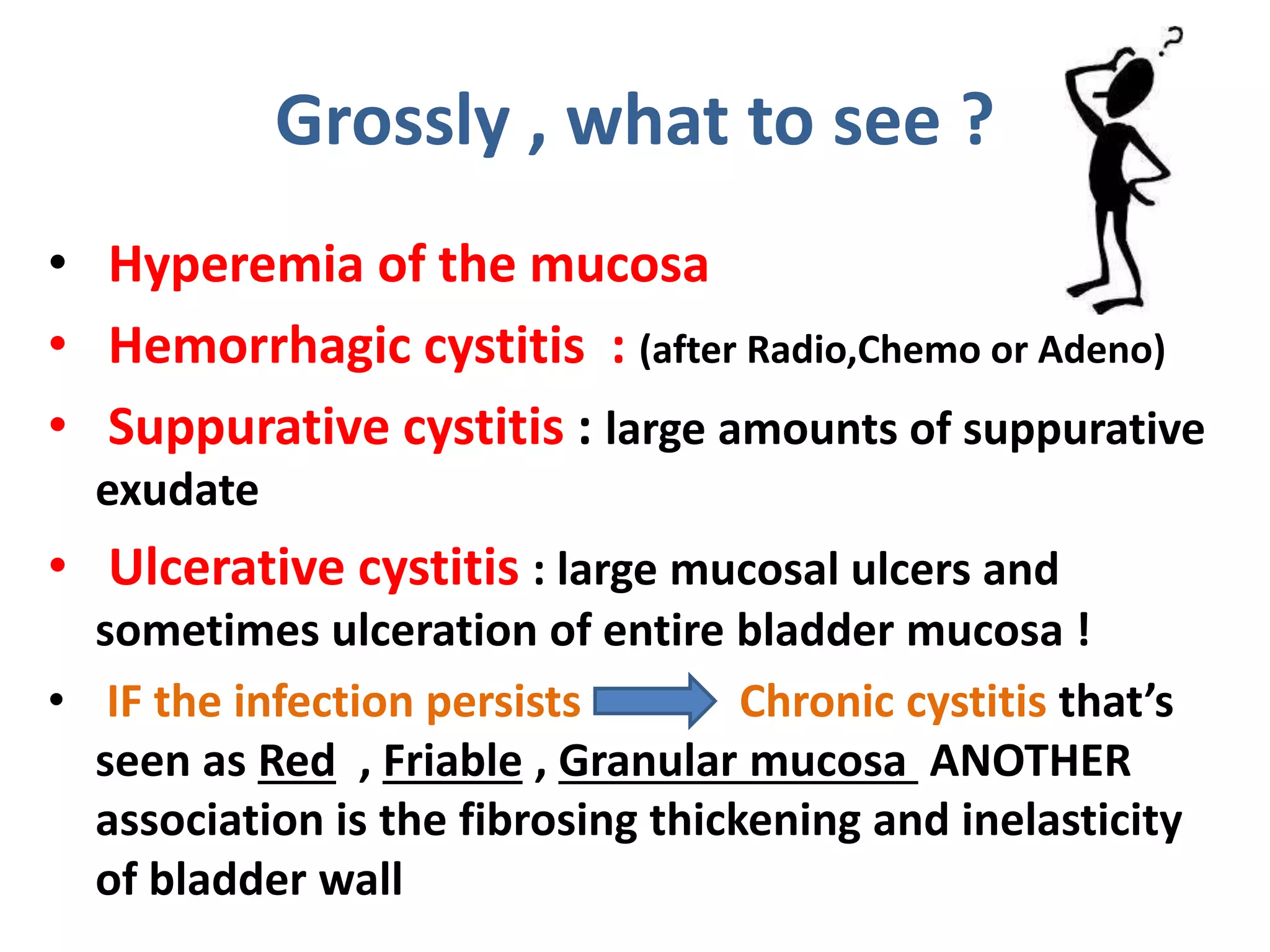 Cystitis made easy | PPTX