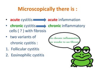 Cystitis made easy | PPTX