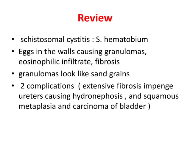 Cystitis made easy | PPTX