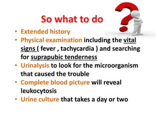Cystitis made easy | PPTX