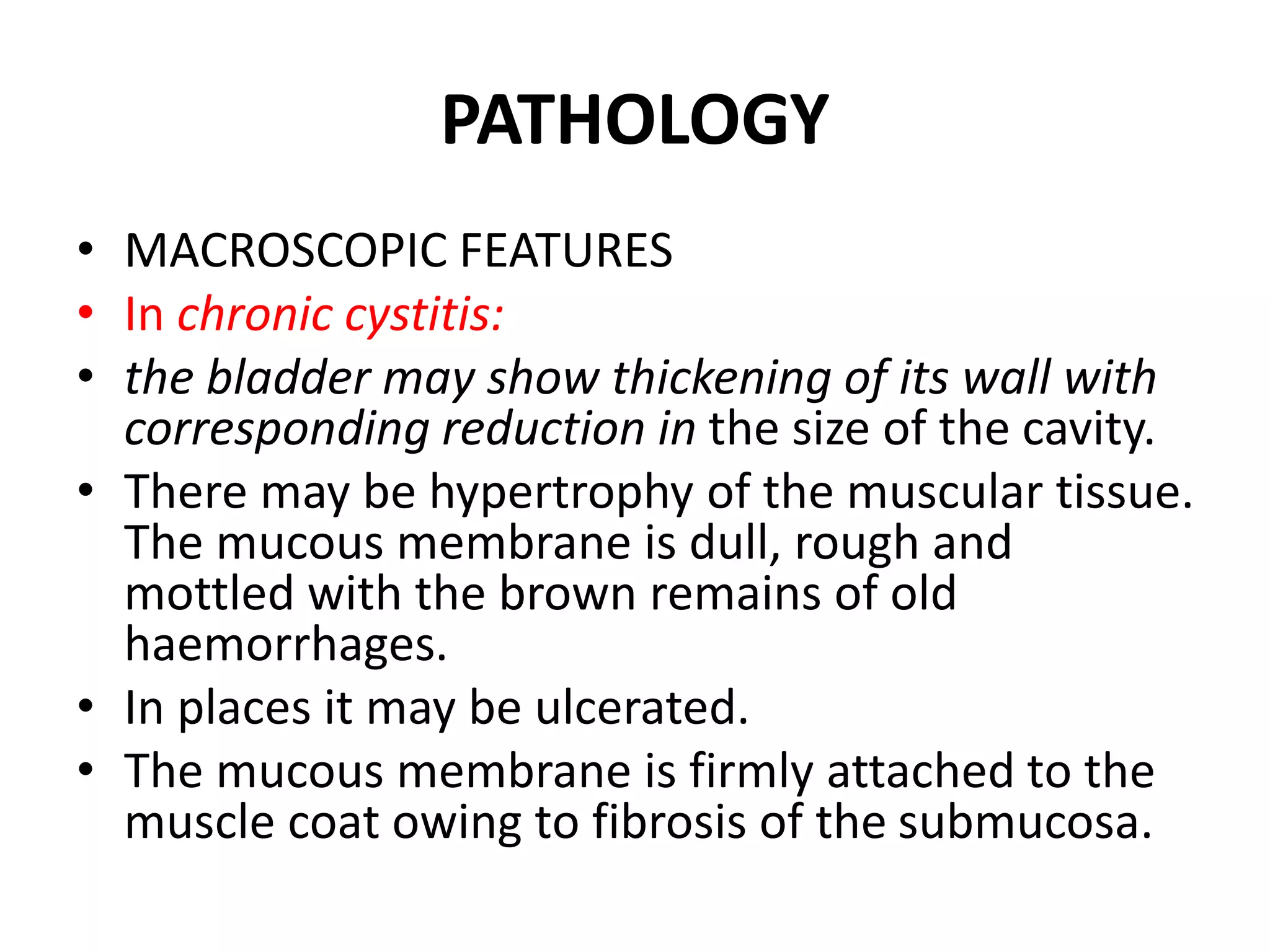 CYSTITIS.pptx