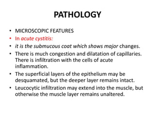 CYSTITIS.pptx