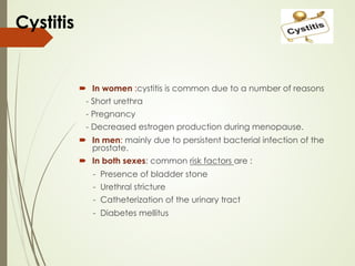Cystitis-Medicine.pdf