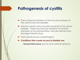 Cystitis-Medicine.pdf