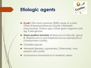 Cystitis-Medicine.pdf