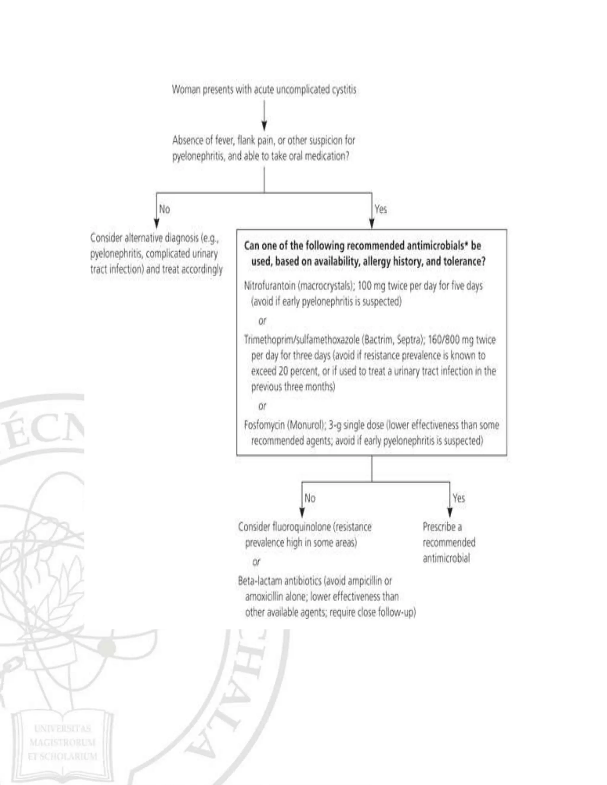Cystitis algortihm | DOCX