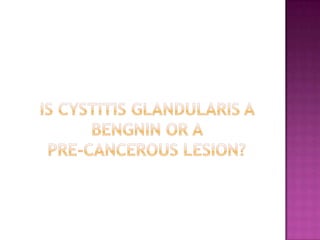 Cystitis Cystica and Glandularis | PPTX