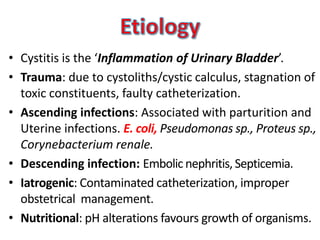 Cystitis in domestic animals | PPTX