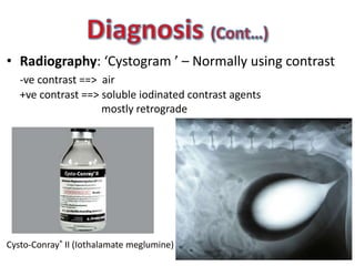 Cystitis in domestic animals | PPTX