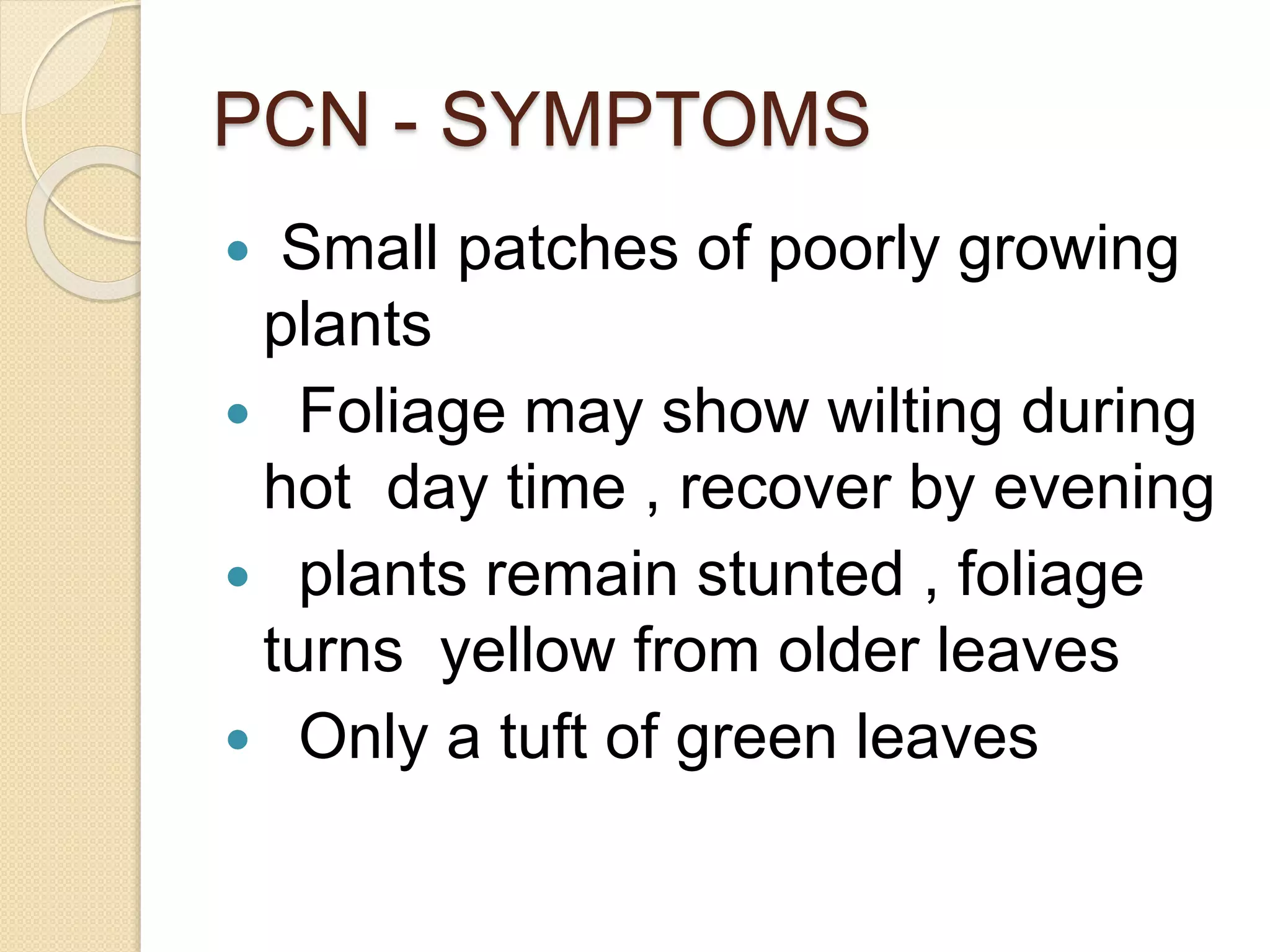 Cyst nematodes in india | PPTX