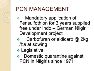 Cyst nematodes in india | PPTX