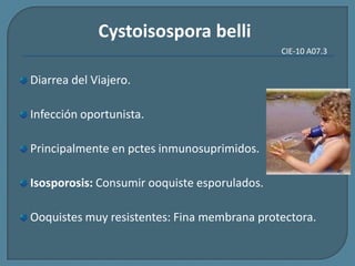 Cystoisospora Belli | PPT