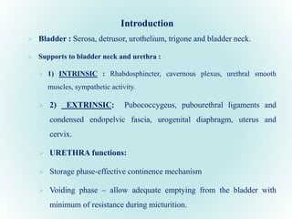 Cystometrogram Storage Phase | PPTX