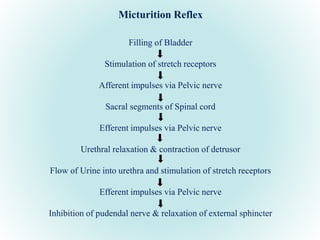 Cystometrogram Storage Phase | PPTX