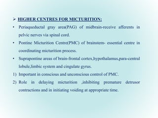 Cystometrogram Storage Phase | PPTX