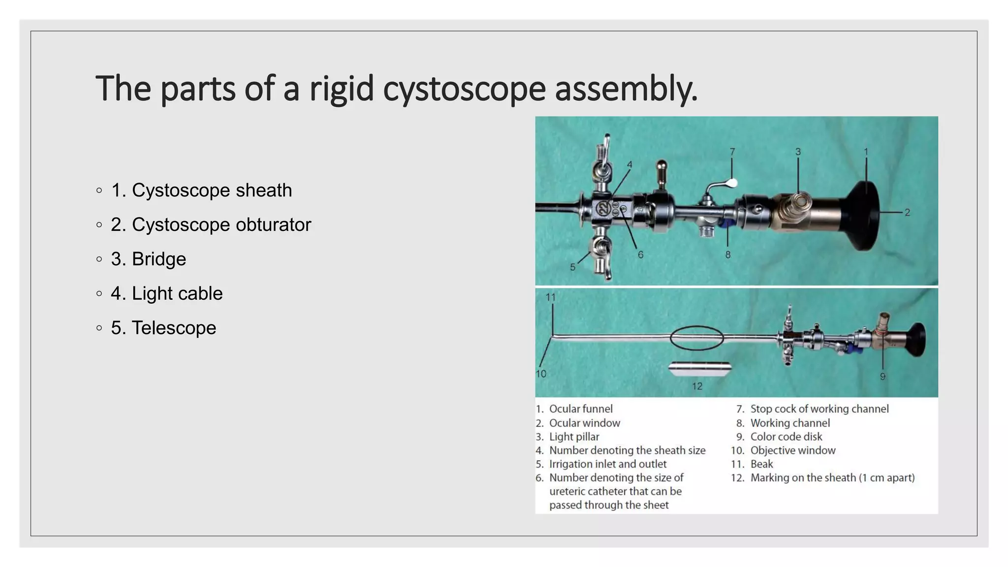 Cystoscope & Nephroscope - A brief review | PPTX