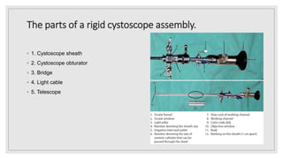 Cystoscope & Nephroscope - A brief review | PPTX