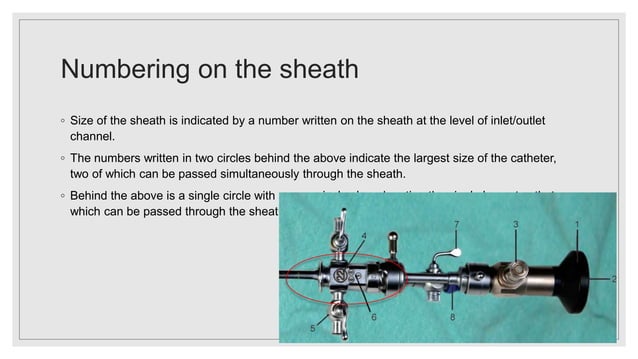 CYSTOSCOPE & URETEROSCOPES.pptx | Medical Tests | Medical Health