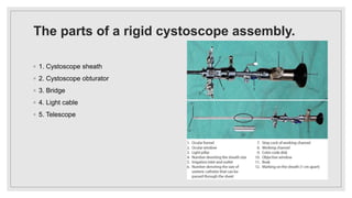 CYSTOSCOPE & URETEROSCOPES.pptx | Medical Tests | Medical Health