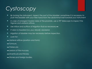 CYSTOSCOPY | PPT