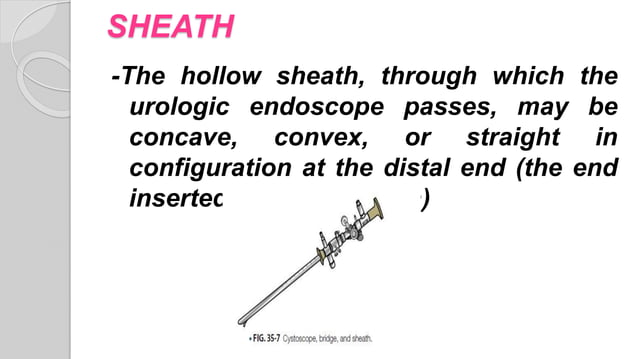 Cystoscopy | PPTX | Surgery | Medical Health