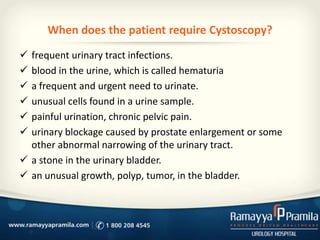 Cystoscopy /uretroscopy | PPTX