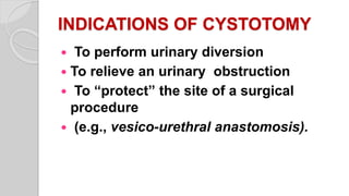 Cystotomy | PPT