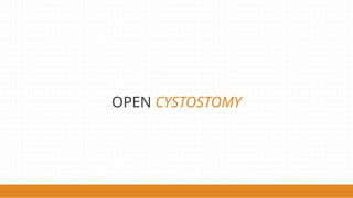 OPTEK ILMIAH CYSTOTOMY BEDAH UROLOGI.pptx