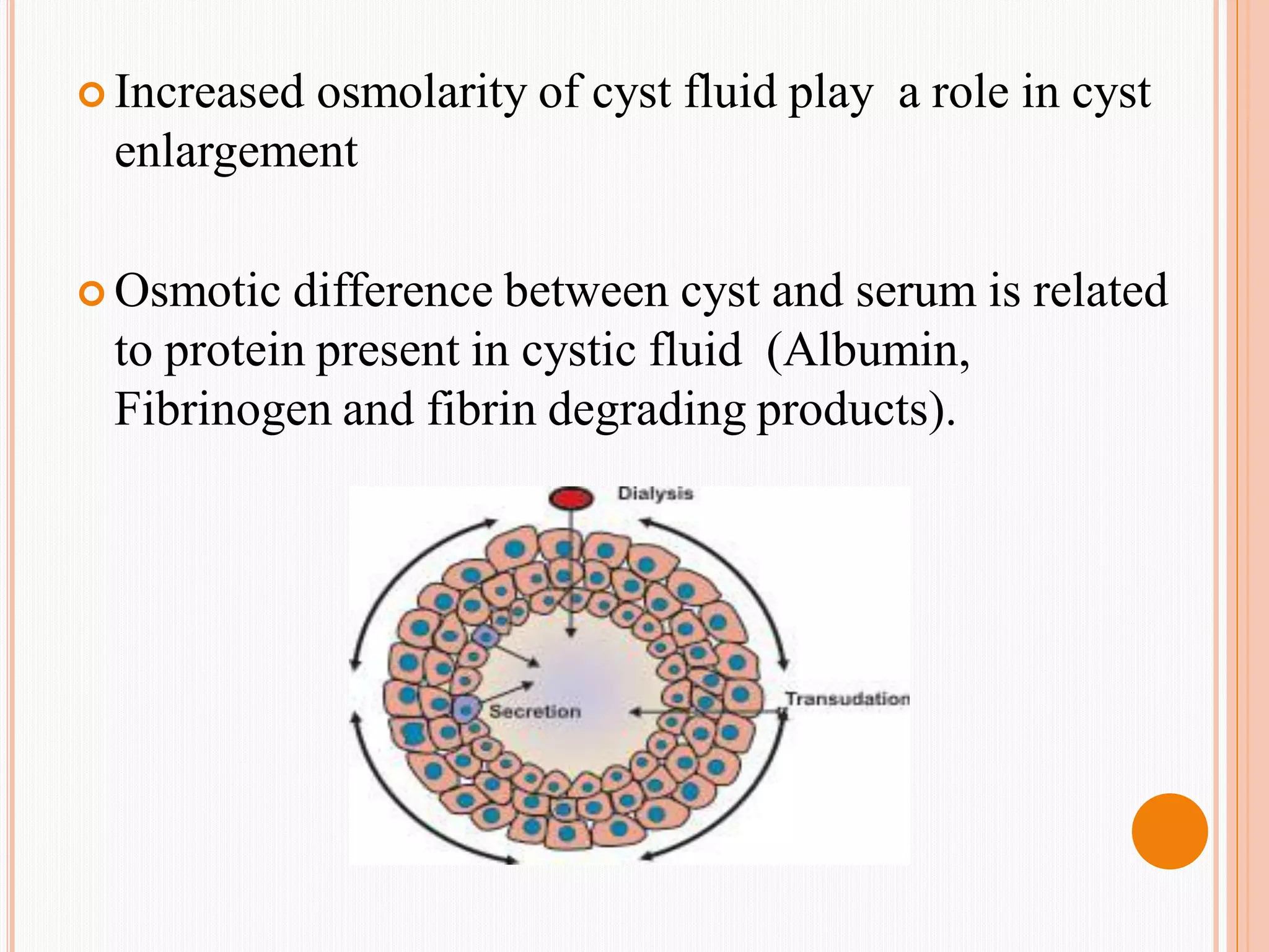 Cysts of jaw | PDF