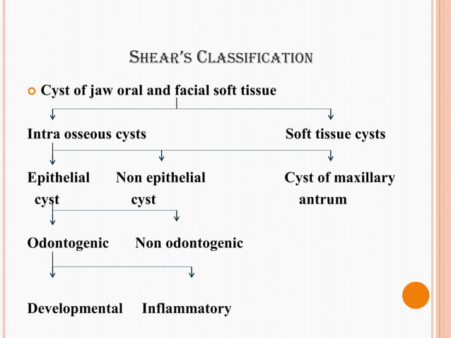 Cysts of jaw | PDF | Dental Health | Diseases and Conditions