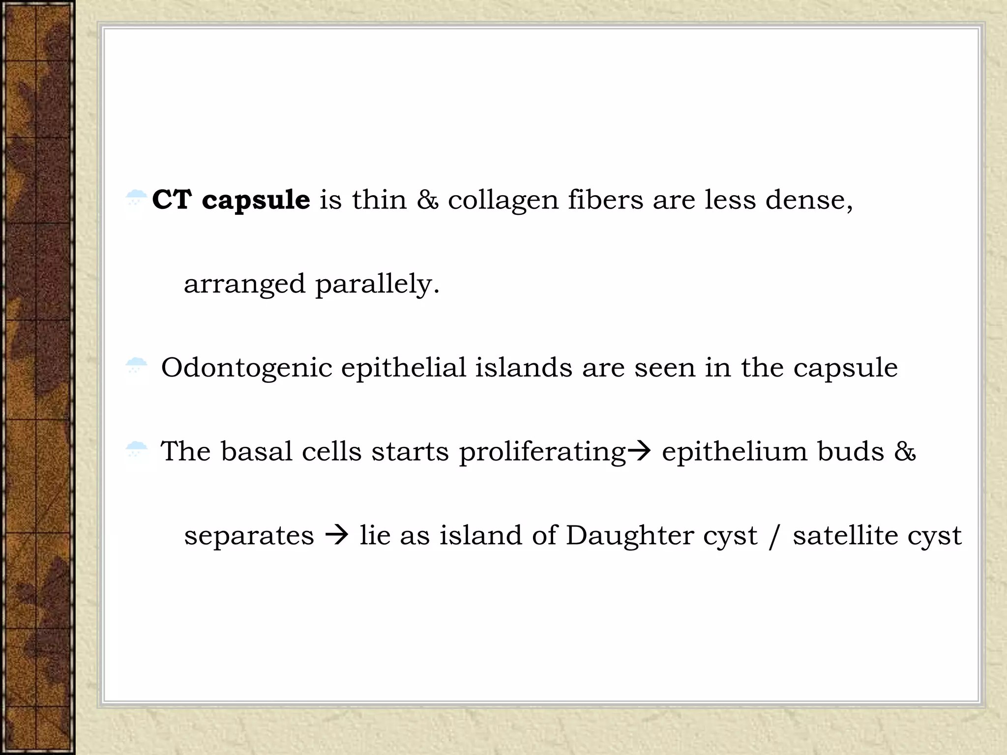 Cysts.ppt