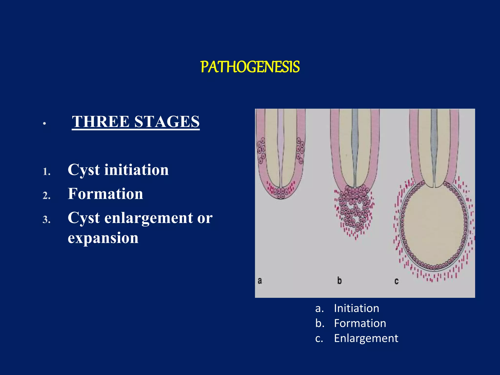 cysts of oral and maxillofacial region.pdf