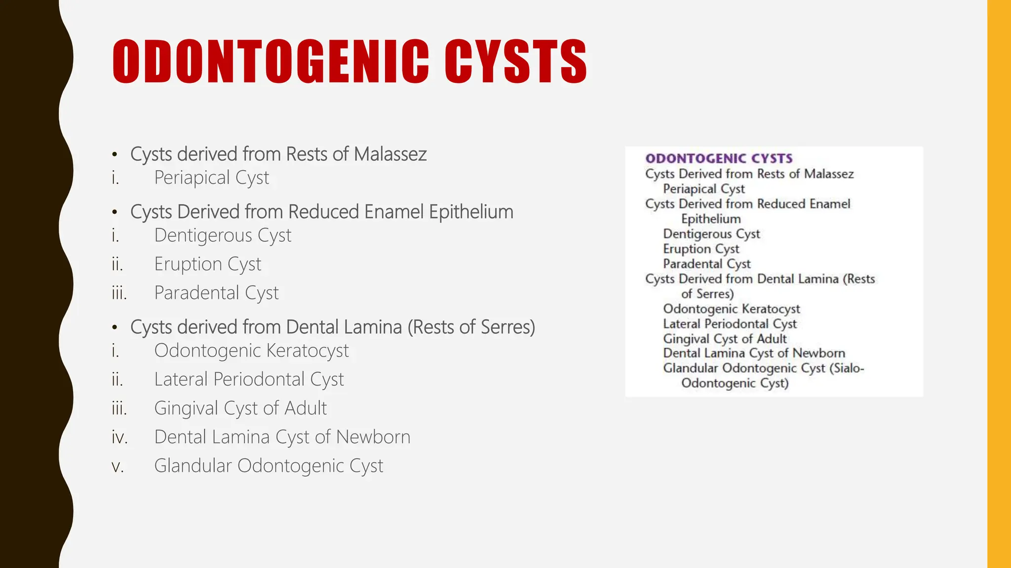 cystsoftheoralregions-200812212302.pdf oral patho | PDF