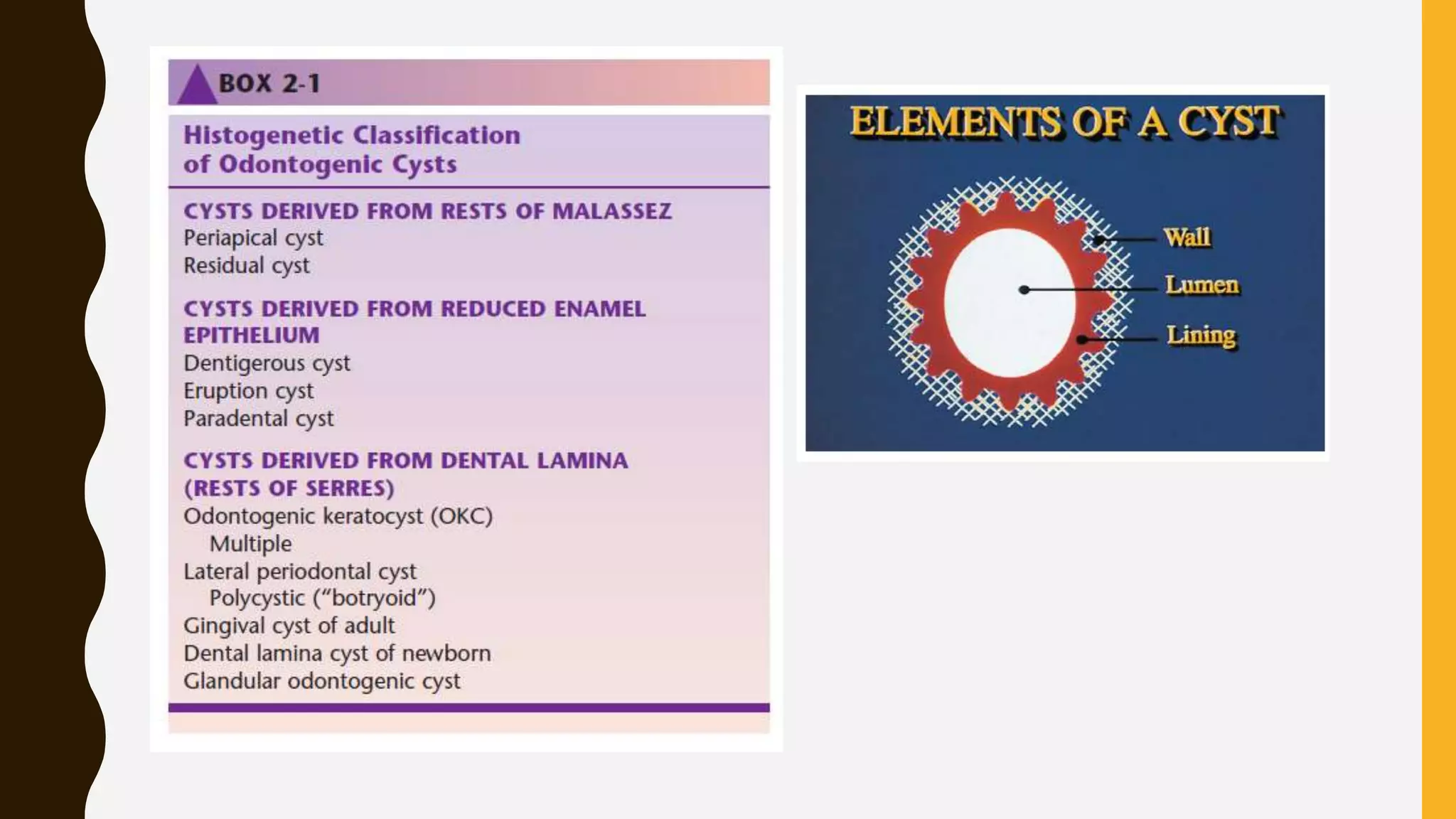 Cysts Of The Oral Region - Oral Pathology | PPTX