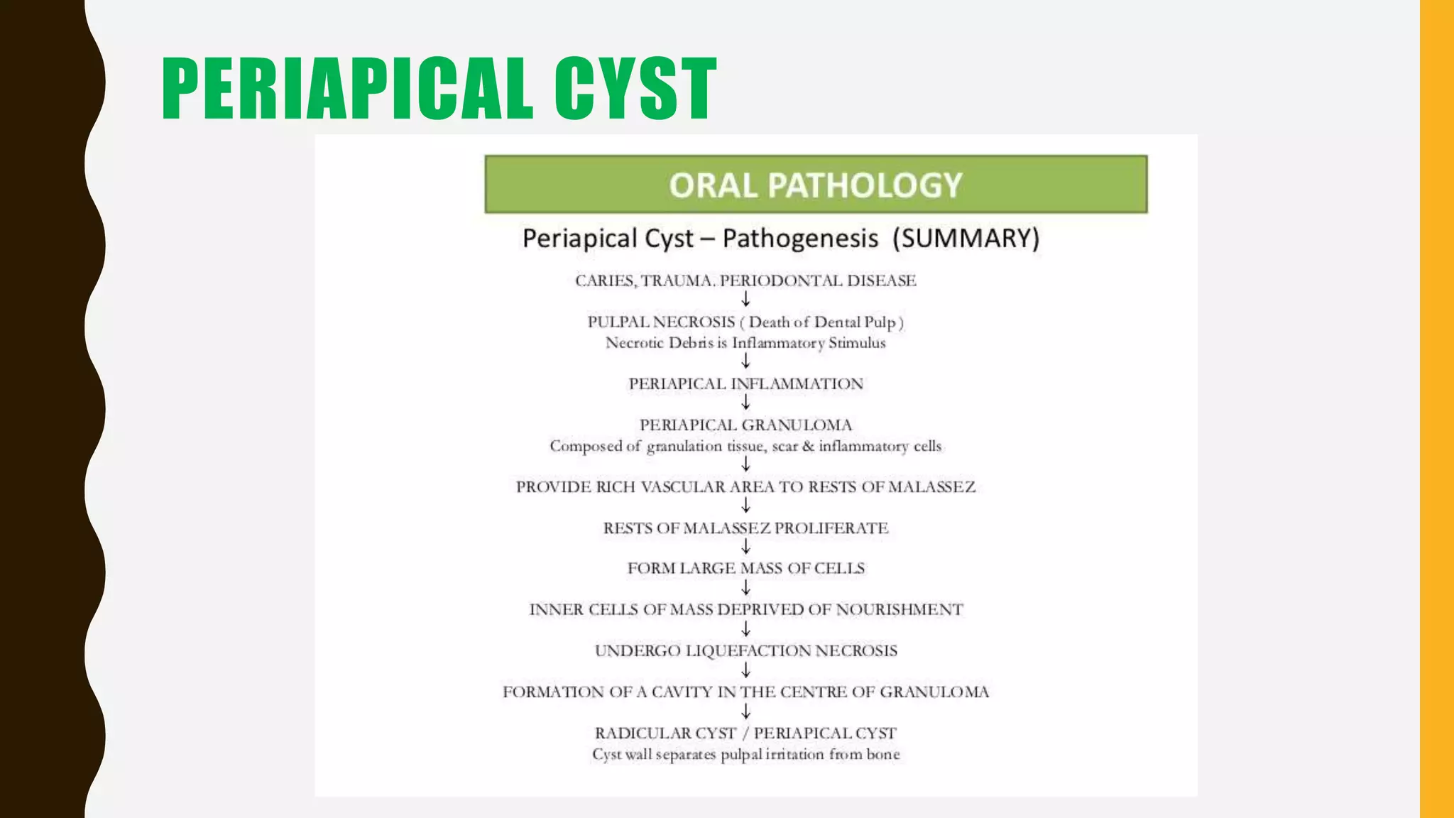 Cysts Of The Oral Region - Oral Pathology | PPTX